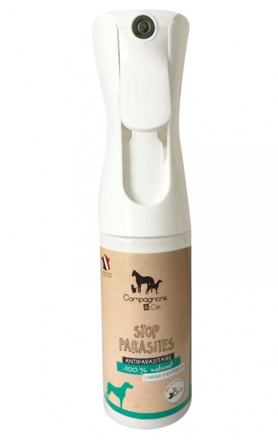 ANIMAUX : 5 idées d’antiparasitaires naturels pour votre Chien | Stampa ...
