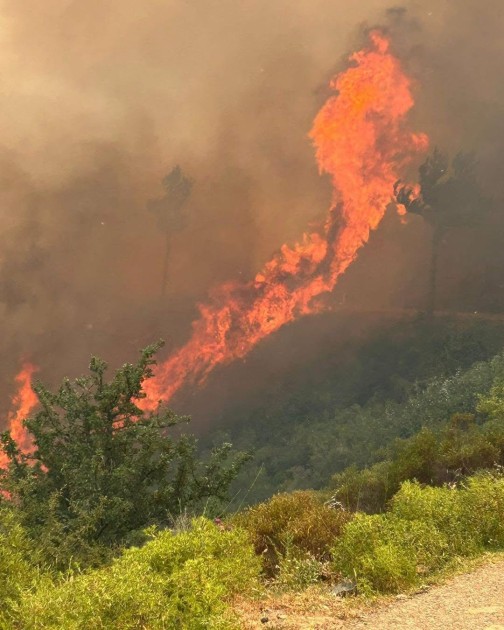Incendie à Castello-di-Rostino : près de 50 hectares brûlés | Stampa Paese